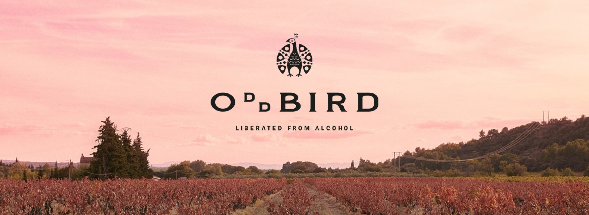 【瑞典Oddbird非鳥 】無酒精紅葡萄酒(自然解放紅)/750ml | HUG網路超市